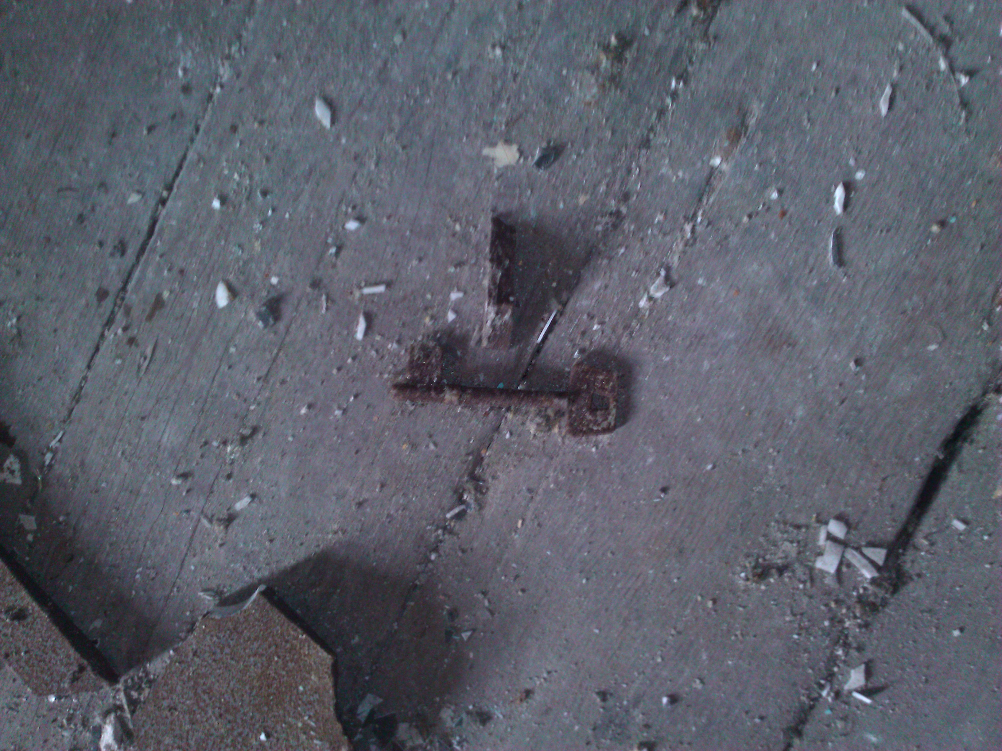 Publications – ADOPTION RIGHTS ALLIANCE